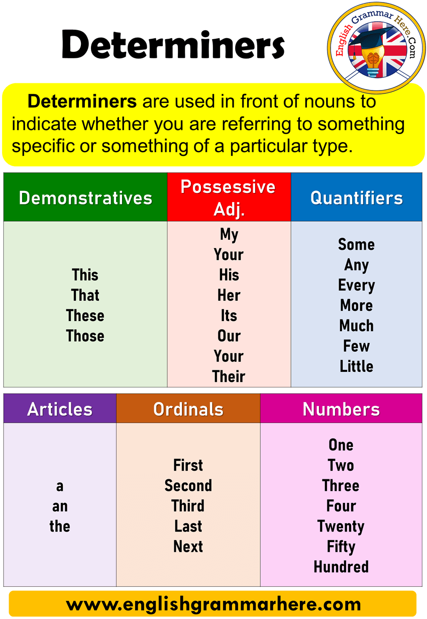 Determiners Detailed Expression And Examples English Grammar Here