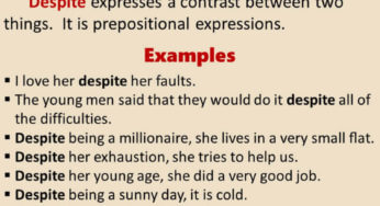 How To Use Despite In English Definition And Example Rememberlessfool: