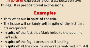 How To Use In Spite Of In English Definition And Example