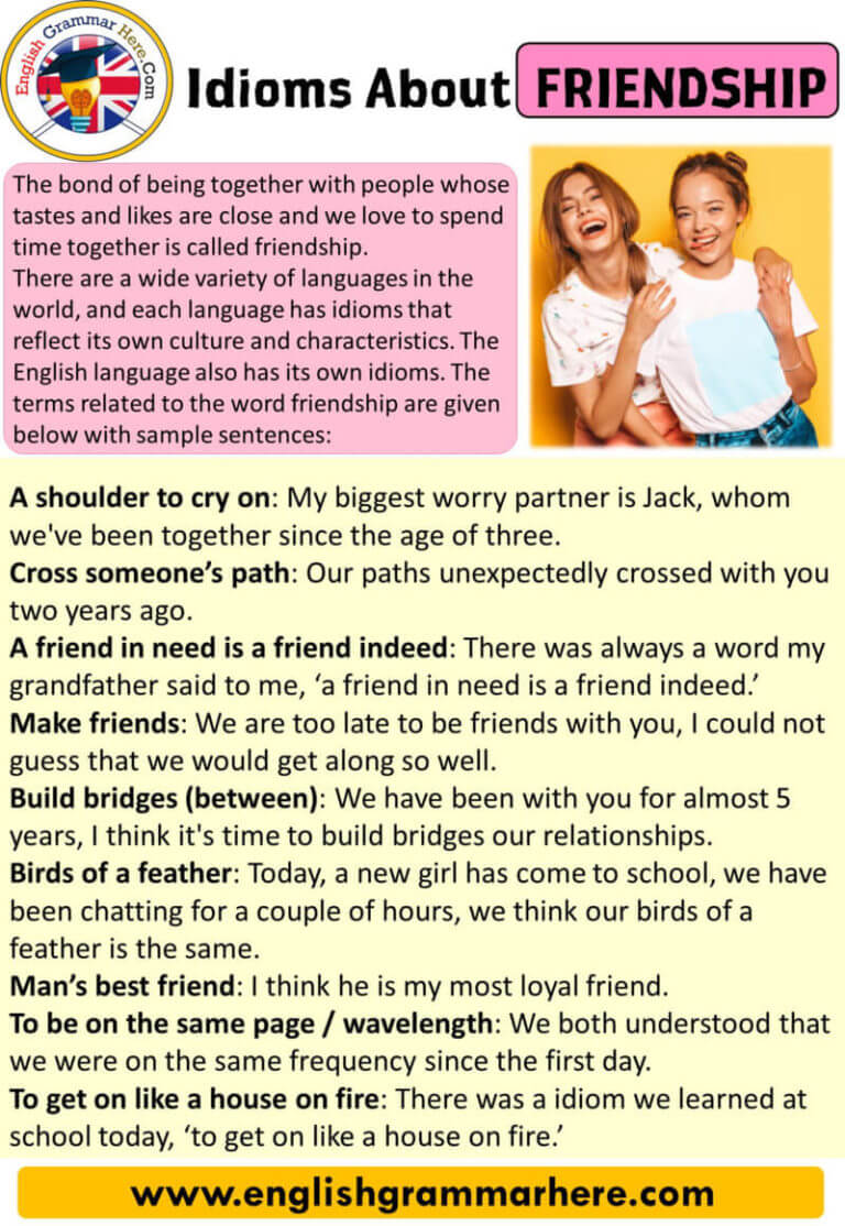 Friendship Analogies