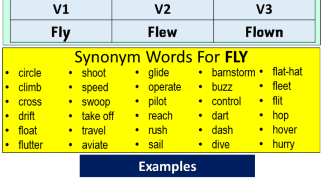 Fly Past Simple Simple Past Tense Of Fly Past Participle 50 OFF Fly Past Simple Simple Past Tense Of Fly Past Participle 50 OFF
