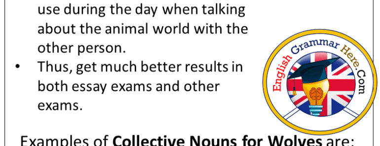 English Grammar Here - Page 762 of 897 - Grammar Documents and Notes