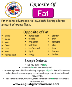 Opposite Of Fat, Antonyms of Fat, Meaning and Example Sentences ...