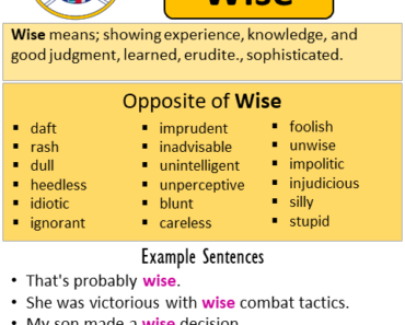 Opposite Of Alone, Antonyms of Alone, Meaning and Example Sentences ...