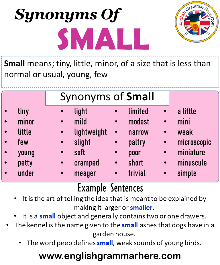 Synonyms Of Small Small Synonyms Words List Meaning And Example 