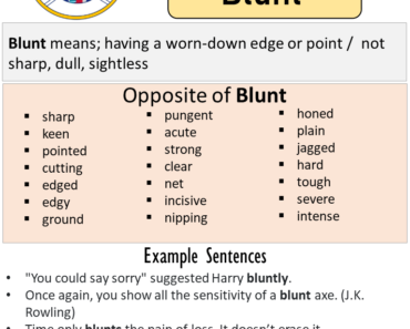Antonyms of Blunt Archives - English Grammar Here