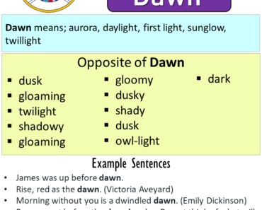 21 Opposite Of Narrow, Antonyms of Narrow, Meaning and Example ...