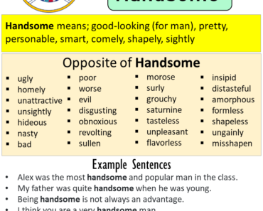 Opposite Of Opposite, Antonyms of Opposite, Meaning and Example ...