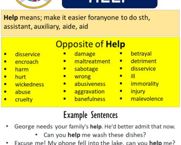 Opposite Of Peak, Antonyms of Peak, Meaning and Example Sentences ...