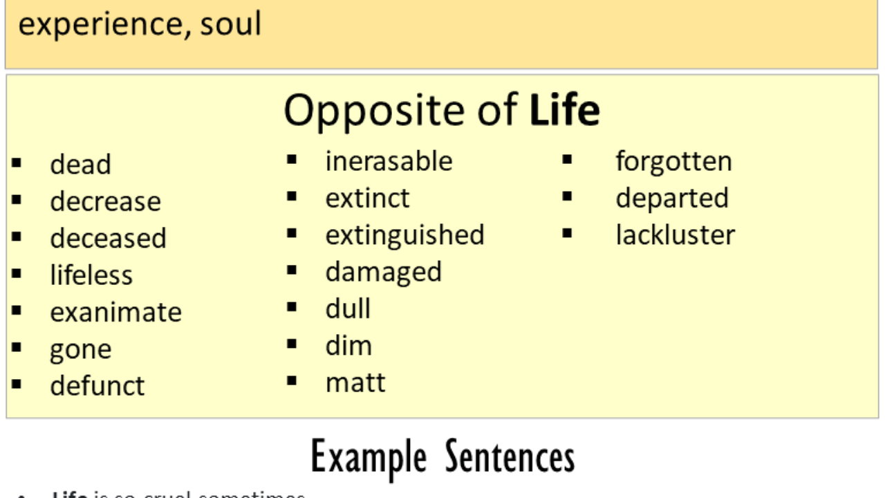 Opposite Of Enable Antonyms Of Enable Meaning And Example 52 OFF
