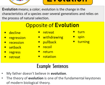 Opposite Of Lateral, Antonyms of Lateral, Meaning and Example Sentences ...