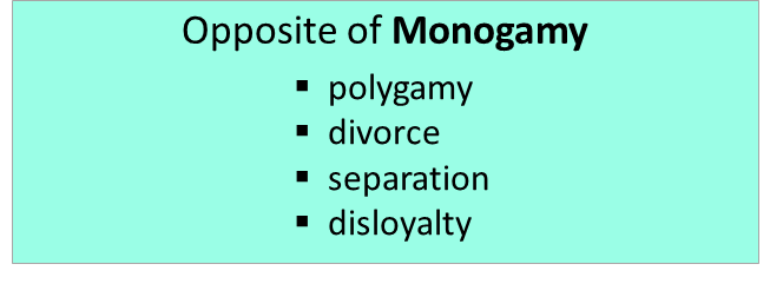 English Grammar Here - Page 743 of 952 - Grammar Documents and Notes