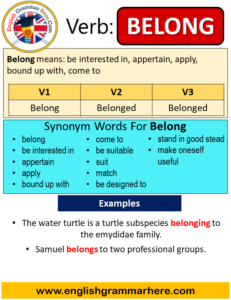 Belong Past Simple in English, Simple Past Tense of Belong, Past ...