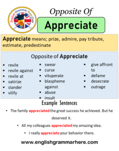 Opposite Of Appreciate, Antonyms of Appreciate, Meaning and Example ...