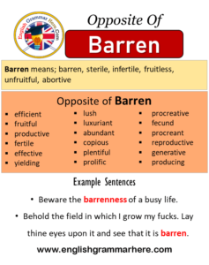 Opposite Of Barren, Antonyms of Barren, Meaning and Example Sentences ...