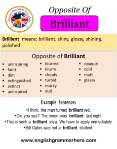 Opposite Of Brilliant, Antonyms of Brilliant, Meaning and Example ...