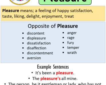 Opposite Of Pleasure Archives - English Grammar Here