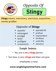 Opposite Of Stingy, Antonyms of Stingy, Meaning and Example Sentences ...