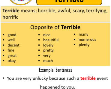 terrible opposite words Archives - English Grammar Here