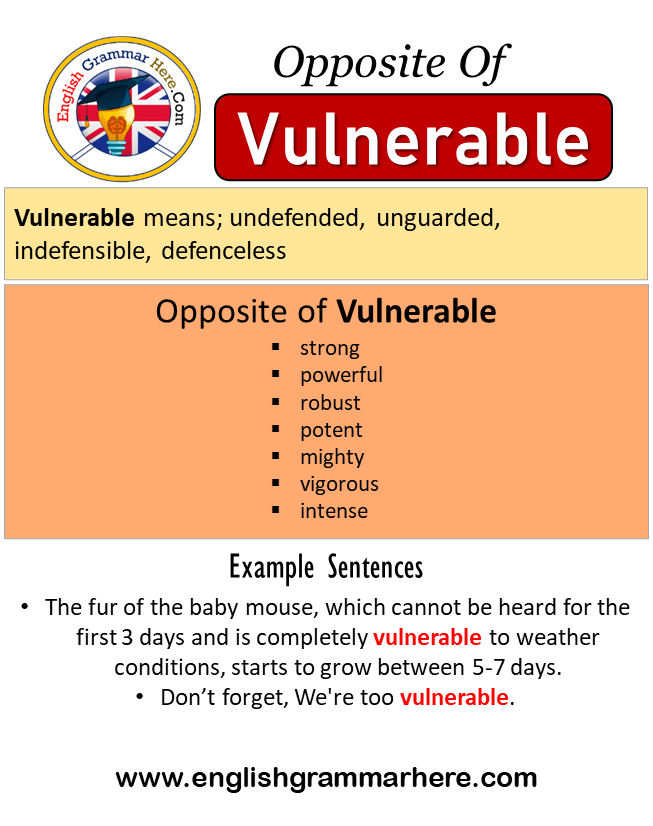 Opposite Of Vulnerable Antonyms Of Vulnerable Meaning And Example