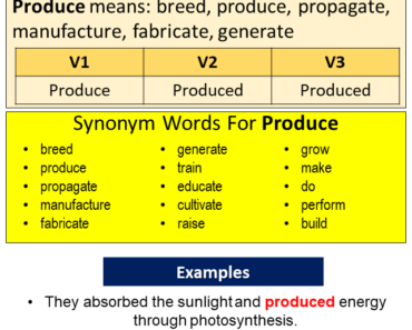 Produce Past Simple Archives - English Grammar Here