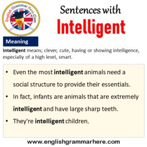 Sentences with Intelligent, Intelligent in a Sentence and Meaning ...