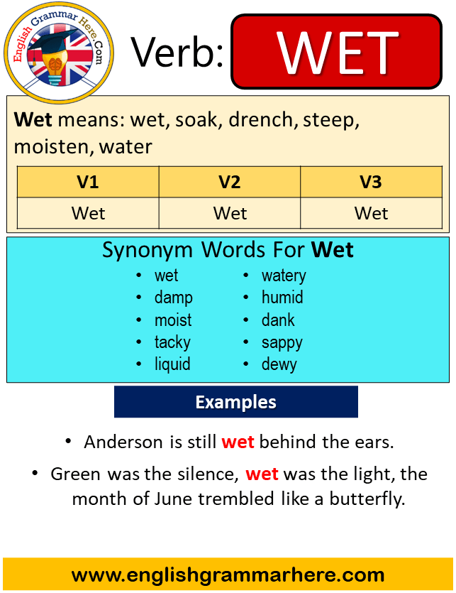 Wet Past Simple In English Simple Past Tense Of Wet Past Participle