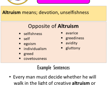 Opposite Of Log, Antonyms of Log, Meaning and Example Sentences ...