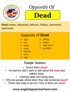Opposite Of Dead, Antonyms of Dead, Meaning and Example Sentences ...