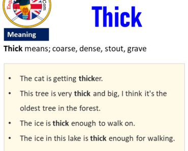Sentences with Thick Archives - English Grammar Here