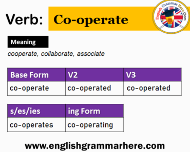 Do Past Simple, Simple Past Tense of Do Past Participle, V1 V2 V3 Form ...