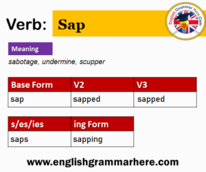 Sap V1 V2 V3 V4 V5, Past Simple and Past Participle Form of Sap ...
