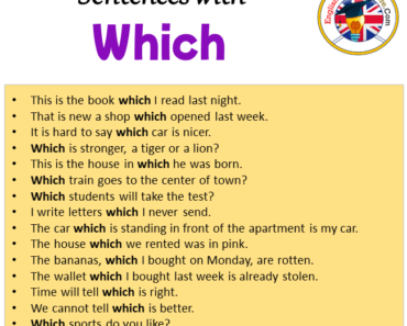 15 Sentences with Which in English Archives - English Grammar Here