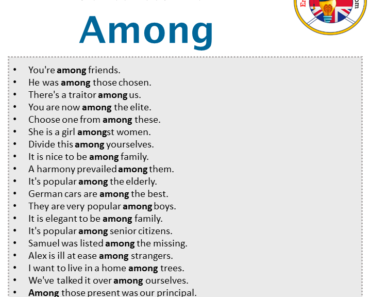 Sentences For Among Archives - English Grammar Here