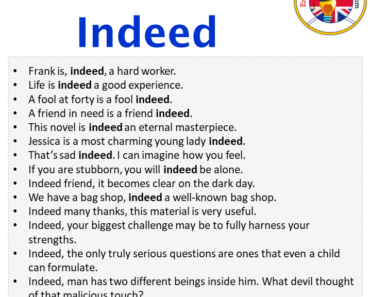 Indeed in a Sentence in English Archives - English Grammar Here