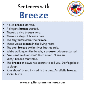 Sentences with Breeze, Breeze in a Sentence in English, Sentences For ...