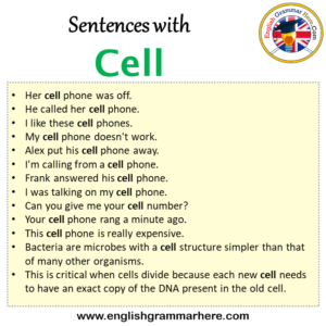 Sentences with Cell, Cell in a Sentence in English, Sentences For Cell ...