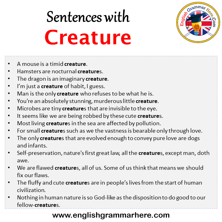 Sentences With Designate Designate In A Sentence In English Sentences