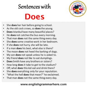 Sentences with Does, Does in a Sentence in English, Sentences For Does ...