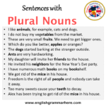 Sentences with Plural Nouns, Plural Nouns in a Sentence in English ...