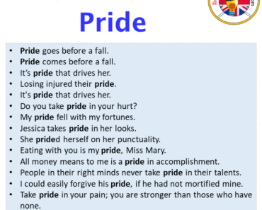 Sentences with Sunny, Sunny in a Sentence in English, Sentences For ...