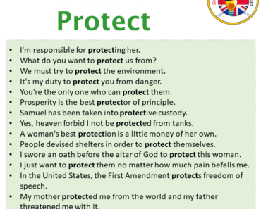 Protect in a Sentence in English Archives - English Grammar Here