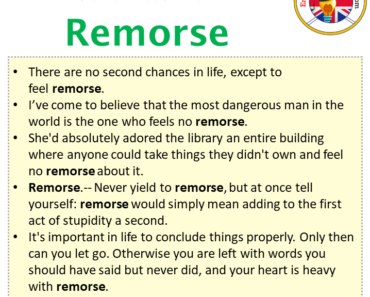 Remorse in a Sentence in English Archives - English Grammar Here