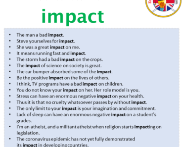 Sentences For impact Archives - English Grammar Here