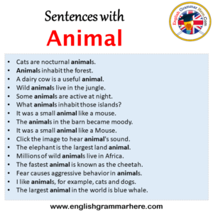 Sentences with Animal, Animal in a Sentence in English, Sentences For ...