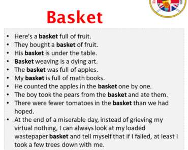 Sentences with Basket Archives - English Grammar Here