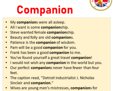 Companion in a Sentence in English Archives - English Grammar Here