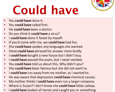 Could have in a Sentence in English Archives - English Grammar Here