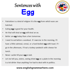 Sentences with Egg, Egg in a Sentence in English, Sentences For Egg ...