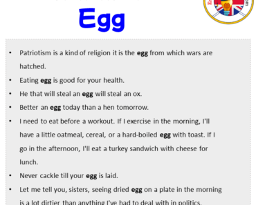 Sentences For Egg Archives - English Grammar Here
